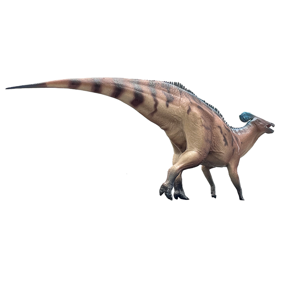 Haolonggood Tlatolophus (Huang Fu Duan) - Everything Dinosaur