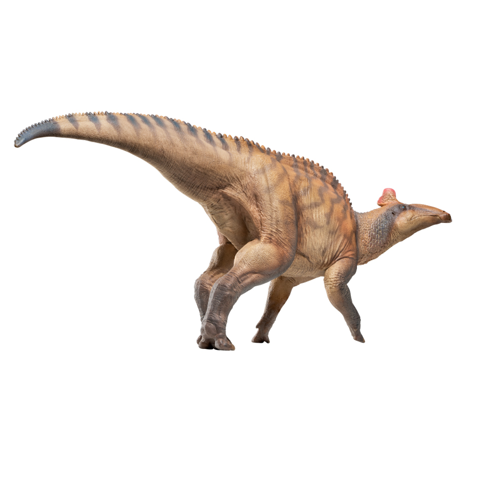 Dino Dan Edmontossauro