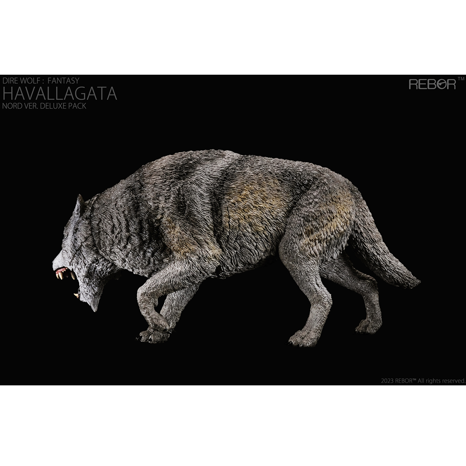 Rebor Dire Wolf Havallagata - Everything Dinosaur