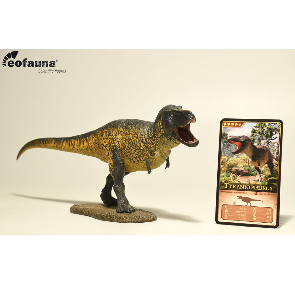 Eofauna T. rex Model
