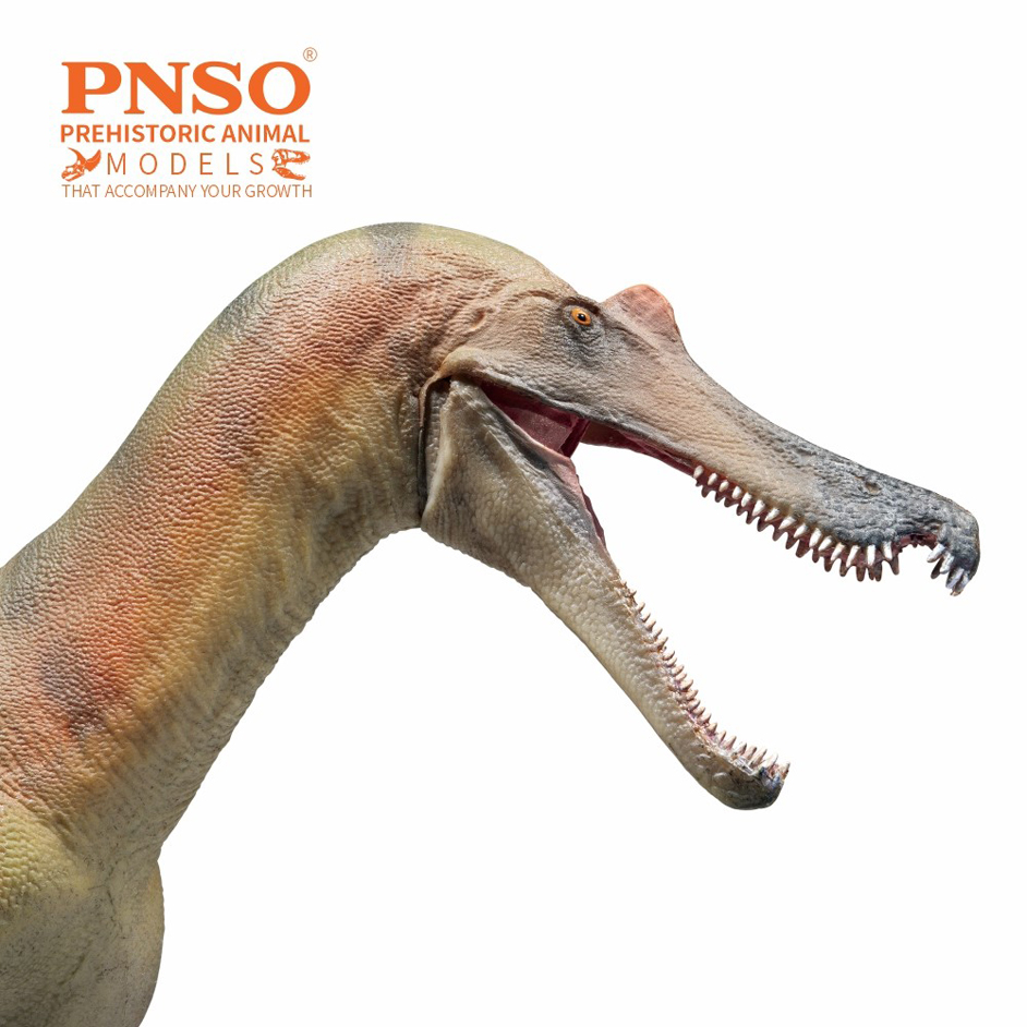 PNSO Maxim the Baryonyx - Everything Dinosaur
