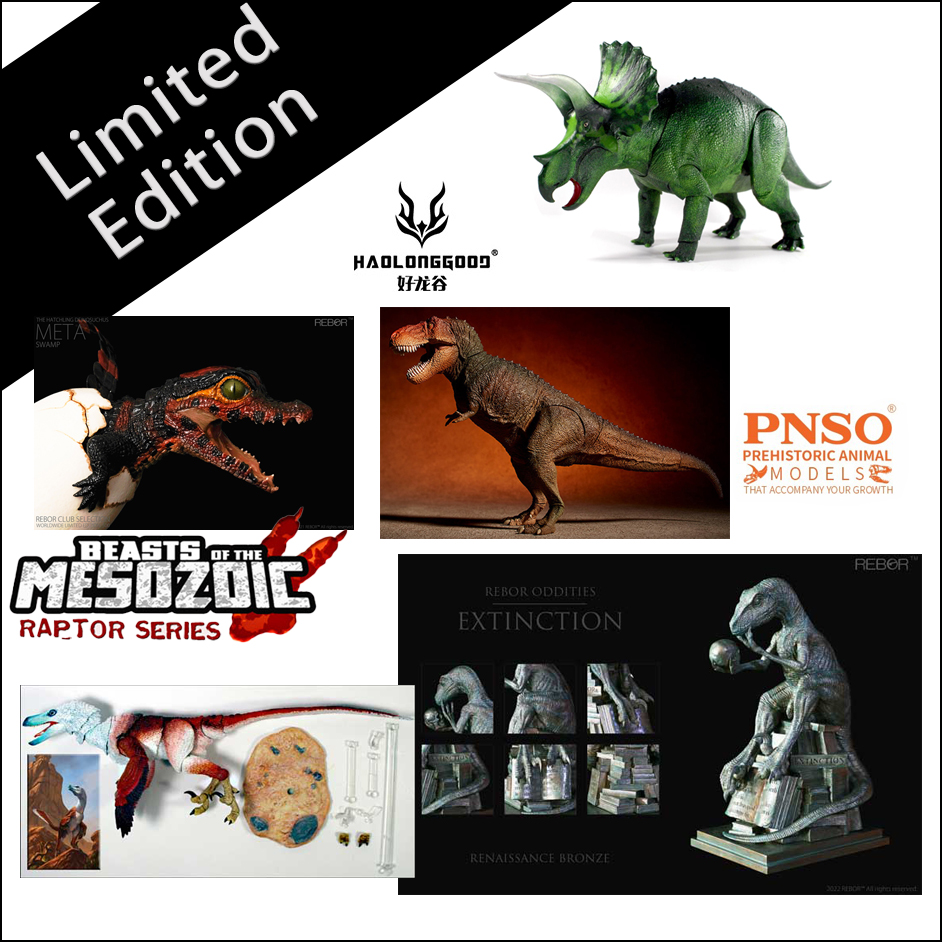 Limited Edition models