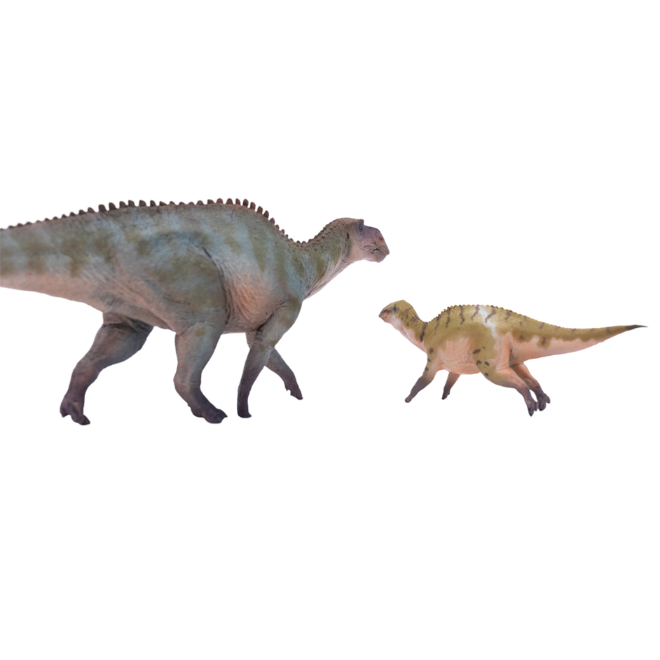 Haolonggood Maiasaura mother and son (Chun Hui)