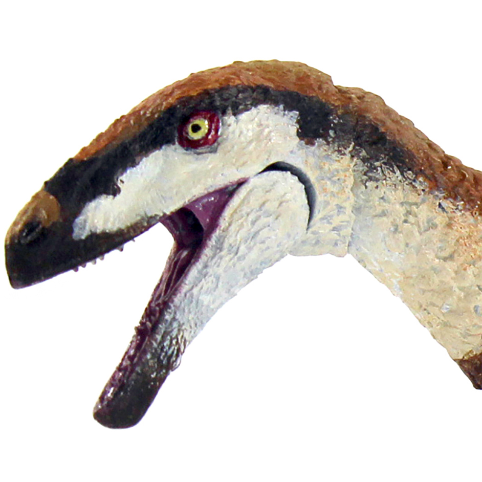 Beasts of the Mesozoic Deinonychus antirrhopus - Everything Dinosaur