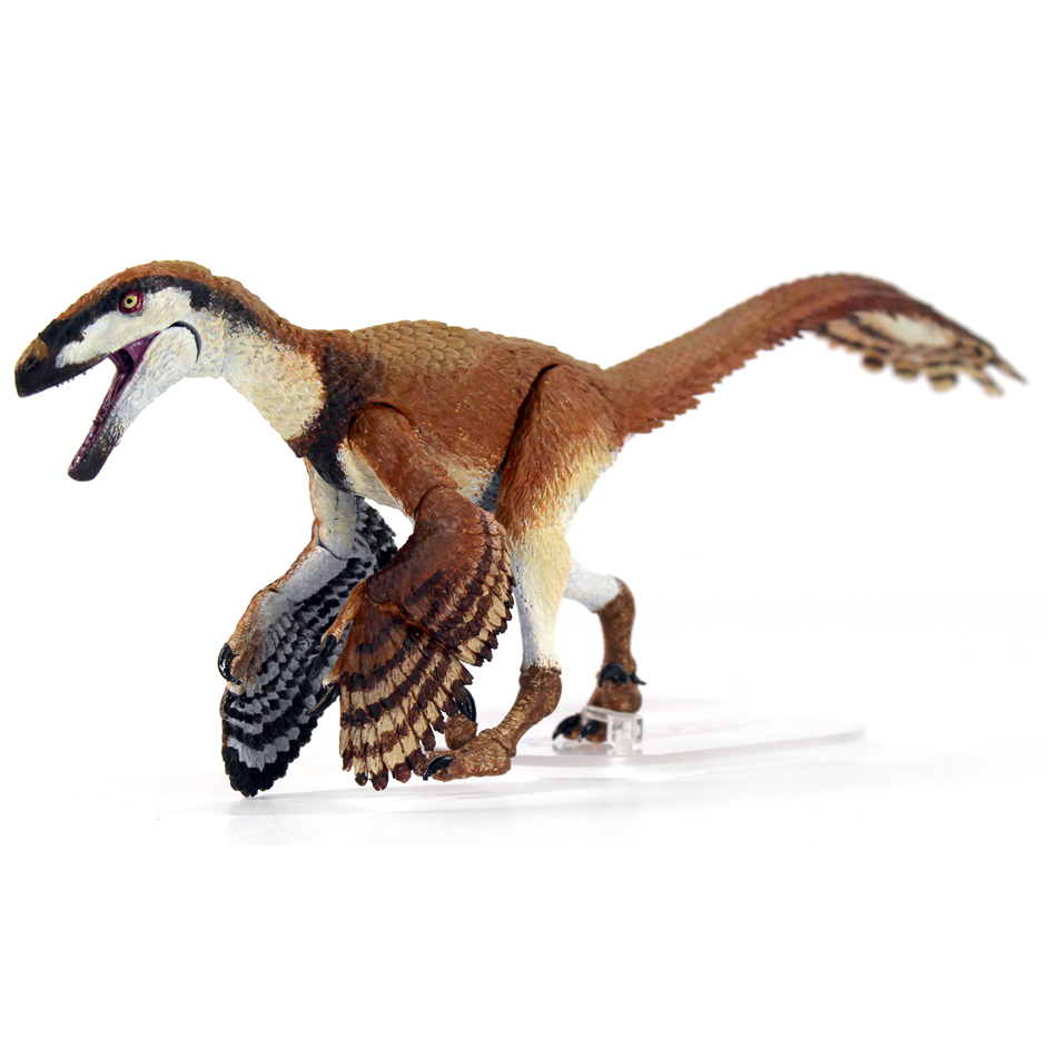 Dinosauro Deinonico André Vs Deinonychus Antirrhopus ( Deinonico ) :