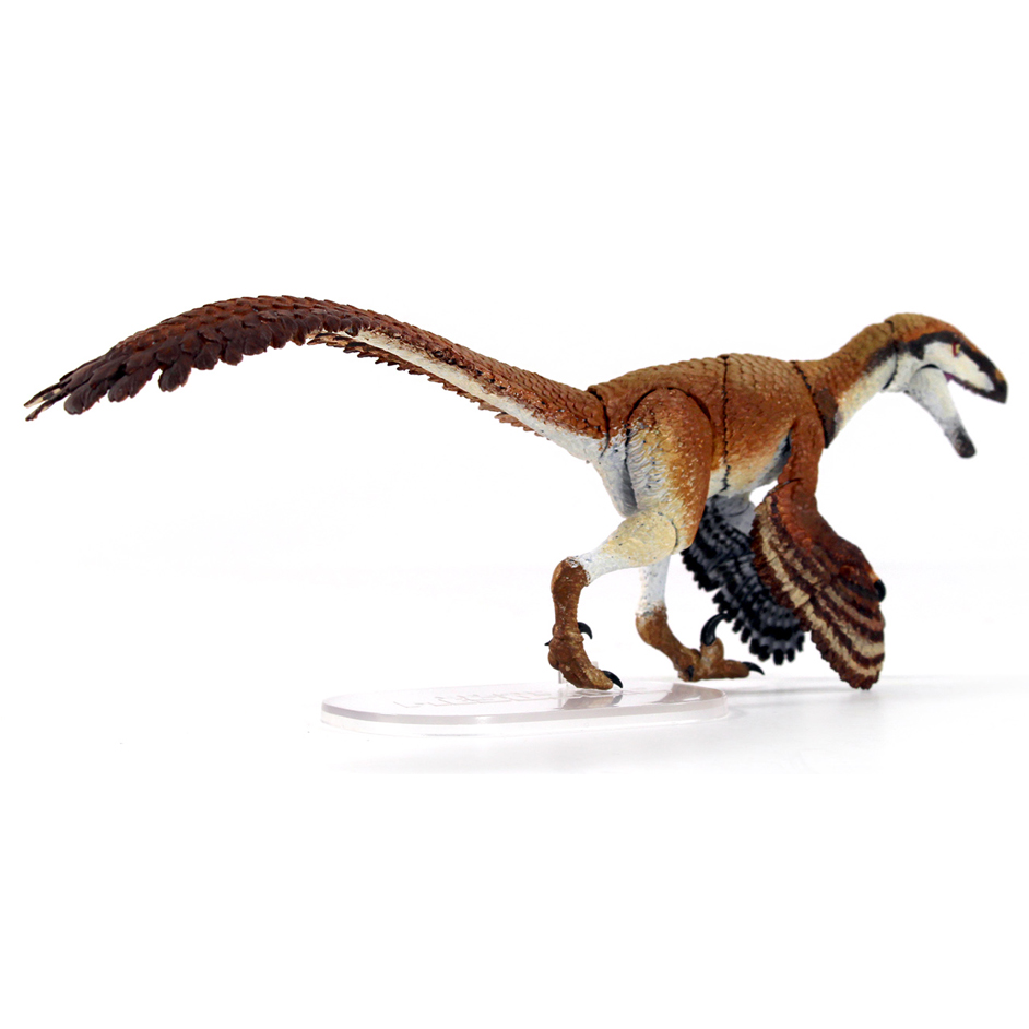 Deinonychus Feathers