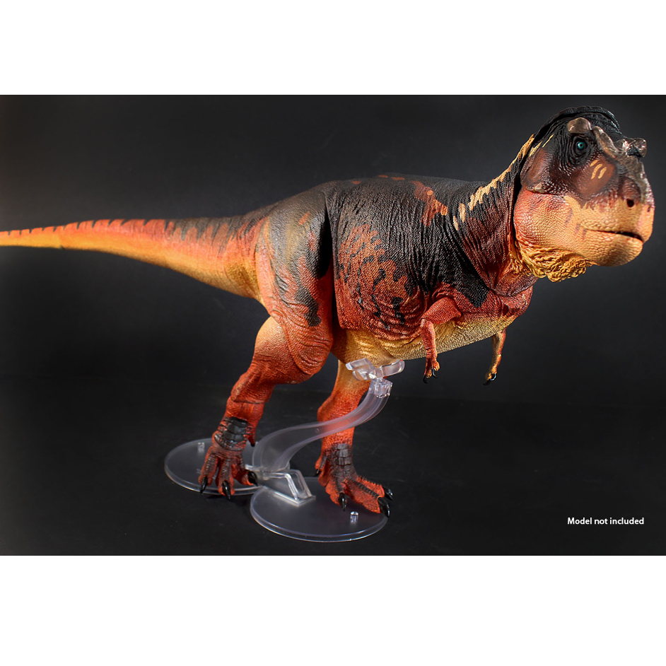 Beasts of the Mesozoic Theropod Display Stand Large - Everything Dinosaur