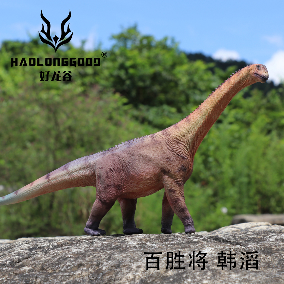 Haolonggood Camarasaurus Model (Han Tao) - Everything Dinosaur