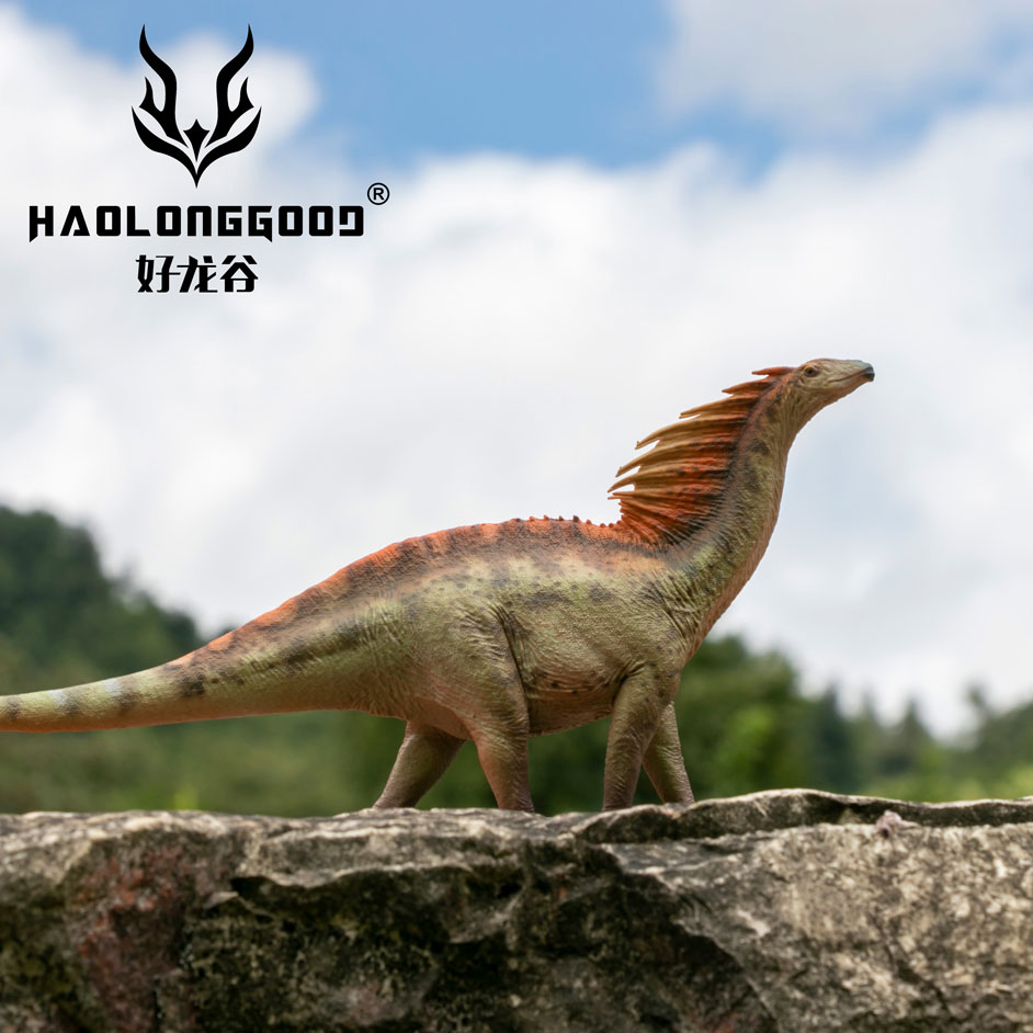Dinosaurkonge Amargasaurus Amargasaurus | Crazy Dino Park Wiki