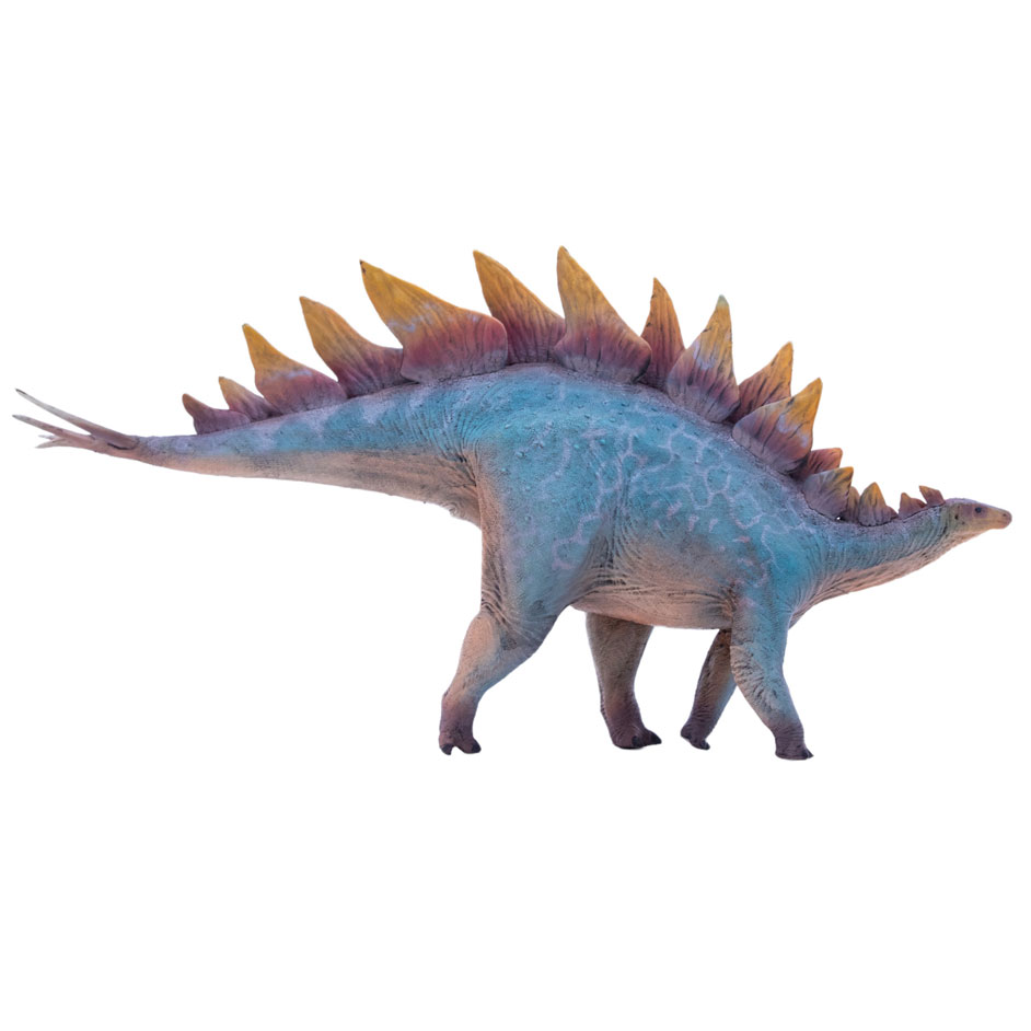 Haolonggood Stegosaurus (Hao Si Wen) - Everything Dinosaur