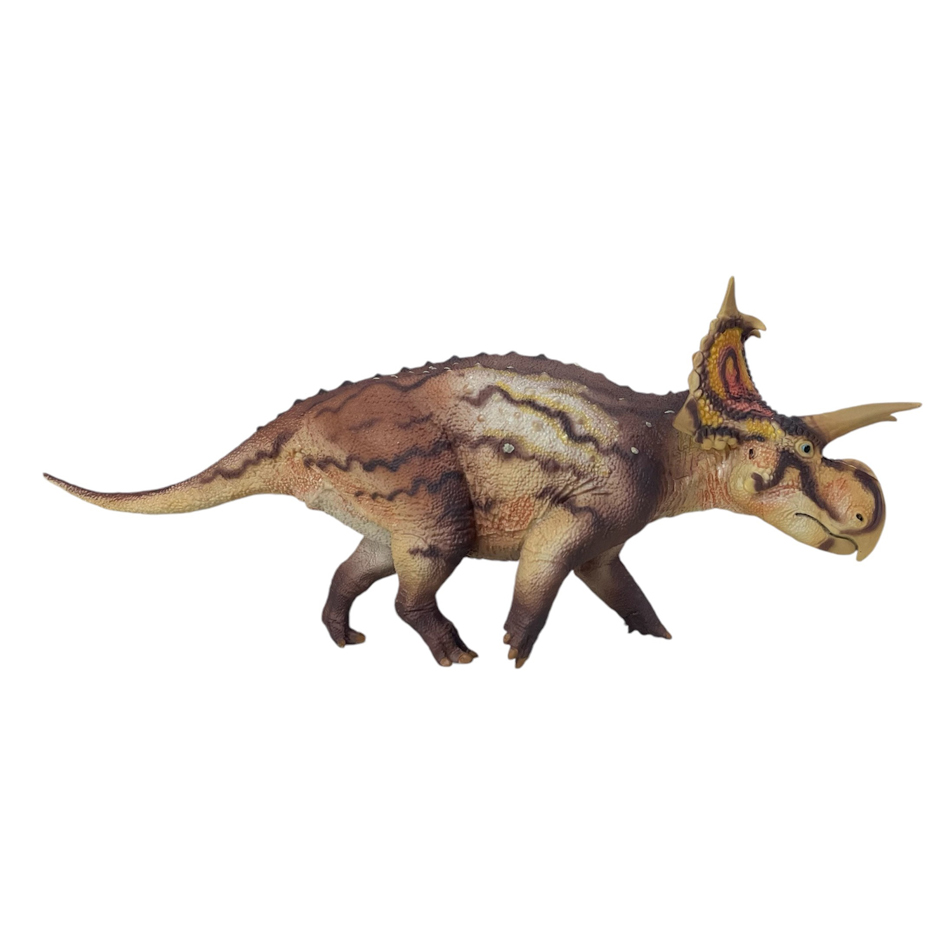 Haolonggood Xenoceratops (Yan Shun) - Everything Dinosaur