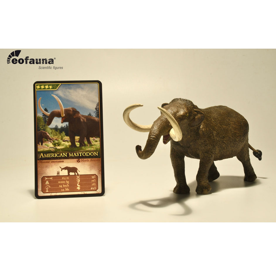 Eofauna Scientific Research Models Eofauna Scientific Research Models