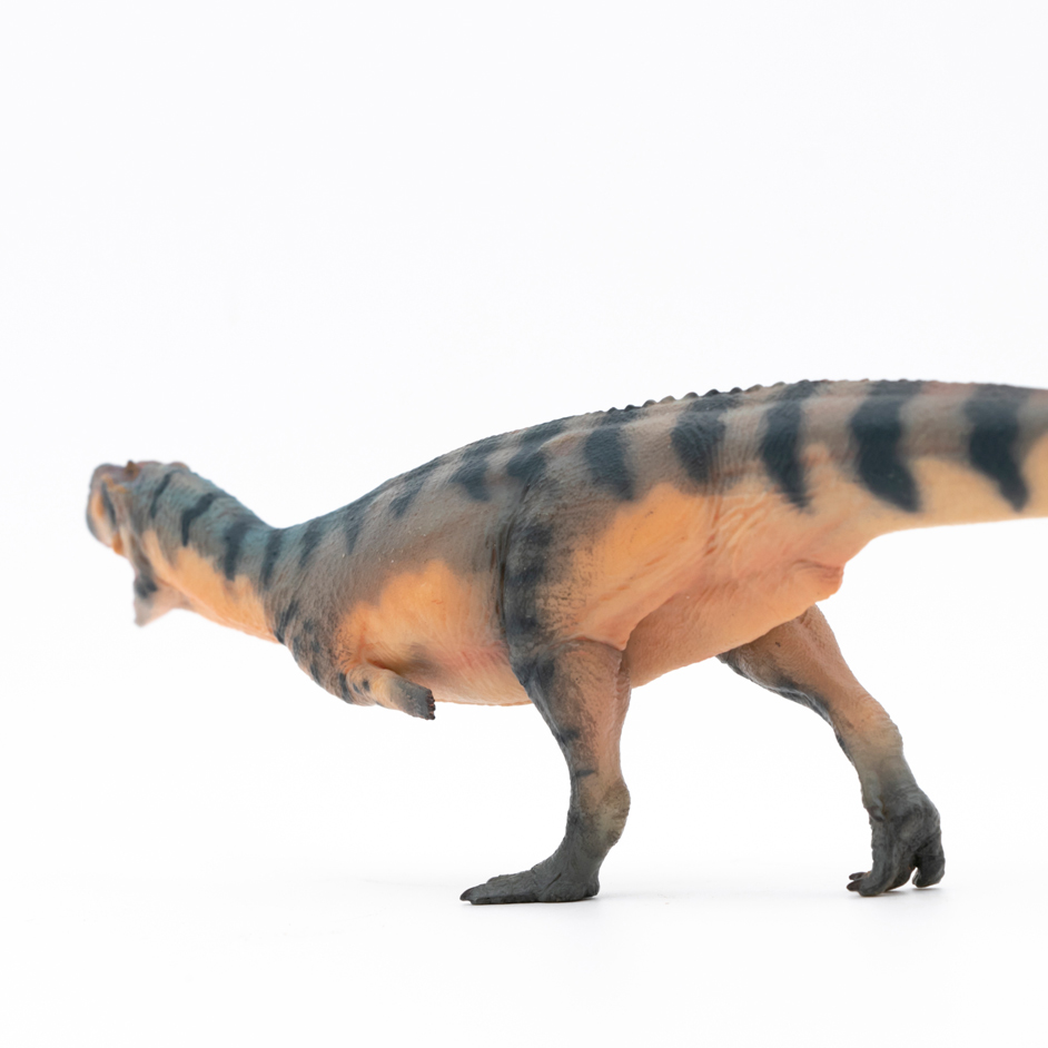 Haolonggood Majungasaurus (Deng Fei) - Everything Dinosaur