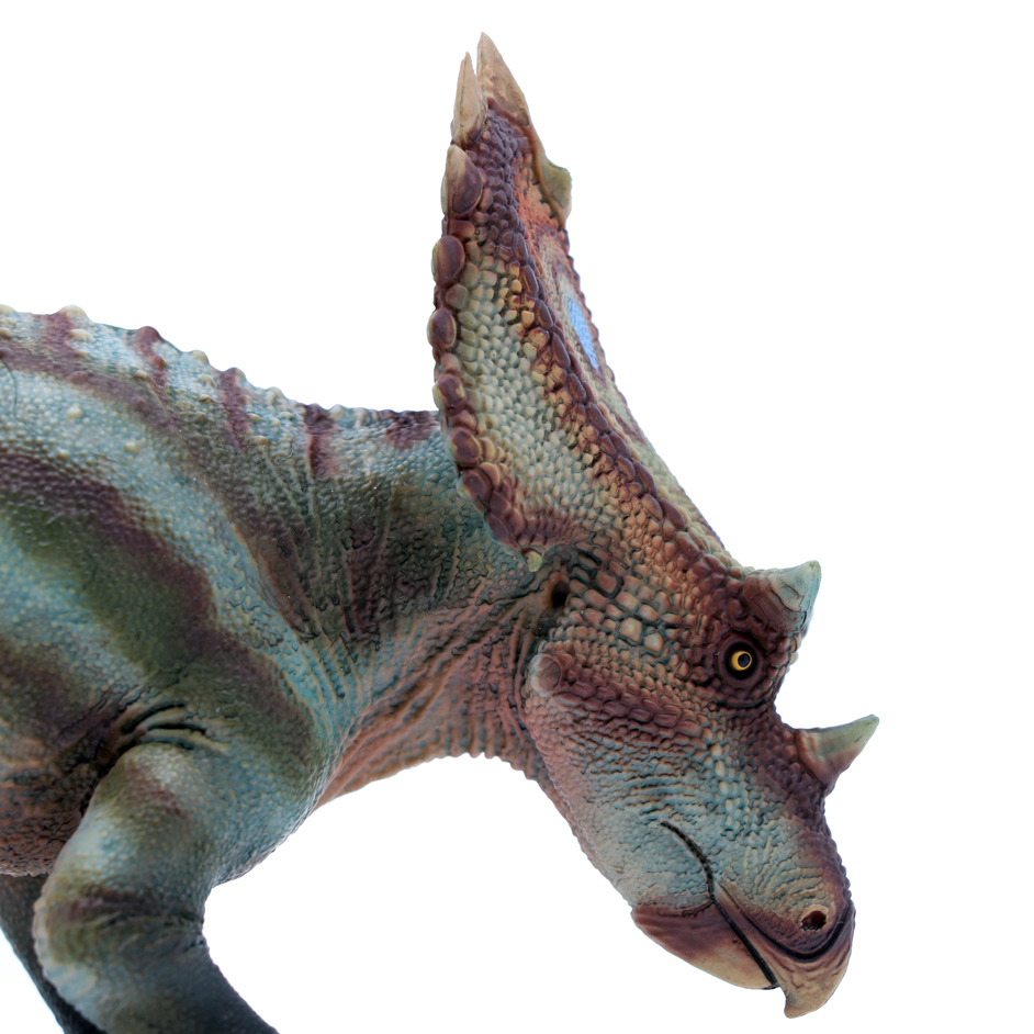 Haolonggood Utahceratops (Ding De Sun) - Everything Dinosaur