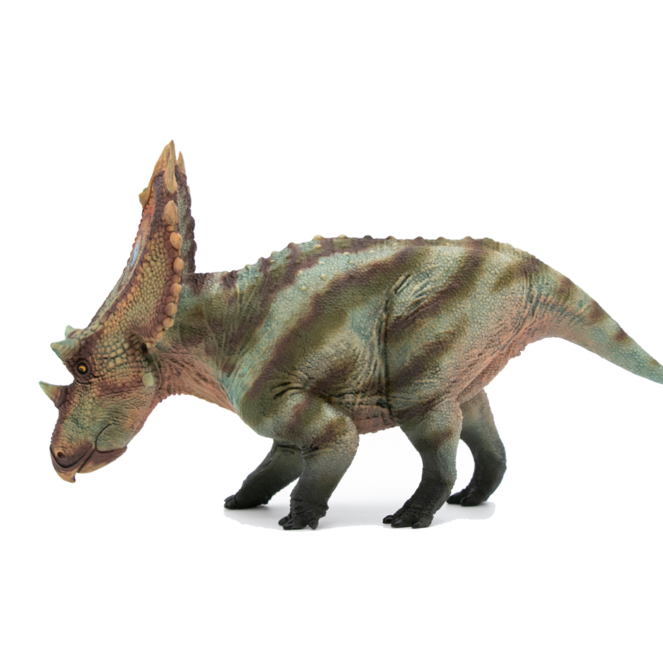 Haolonggood Utahceratops (Ding De Sun) - Everything Dinosaur