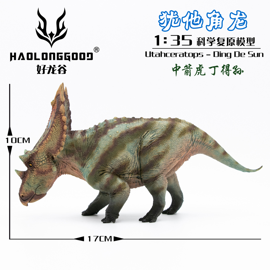 Haolonggood Utahceratops (Ding De Sun) - Everything Dinosaur