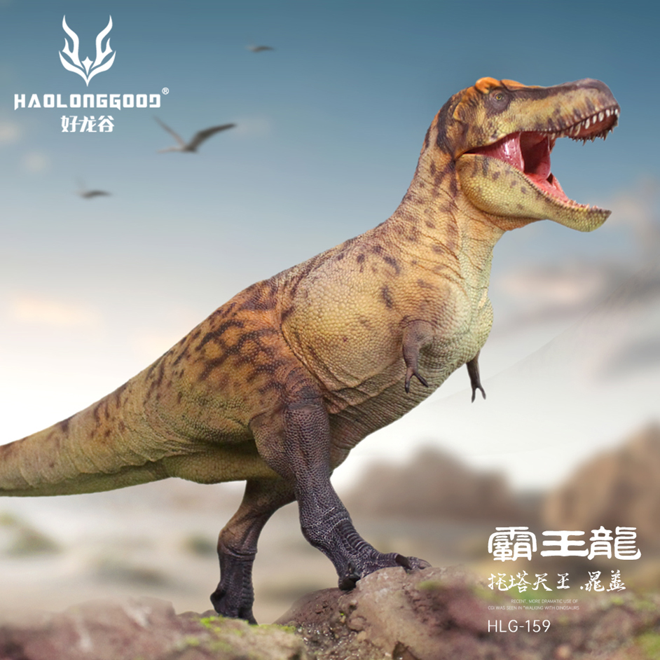 Haolonggood T. rex Chao Gai (Brown) - Everything Dinosaur