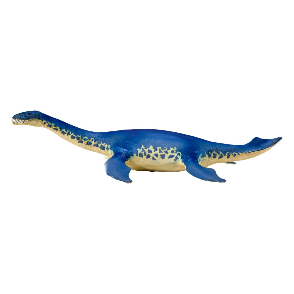 Mojo Fun Cryptoclidus - Everything Dinosaur