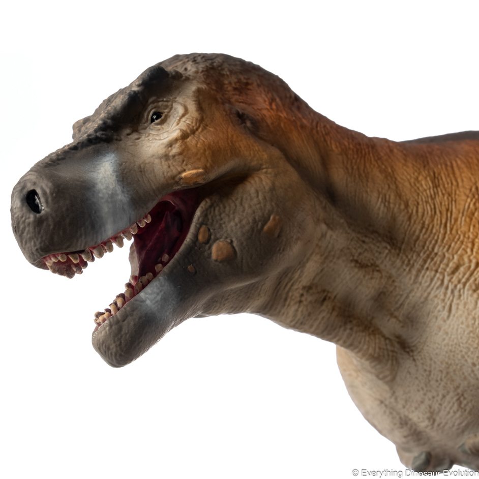 Evolution Founder's Edition Tyrannosaurus