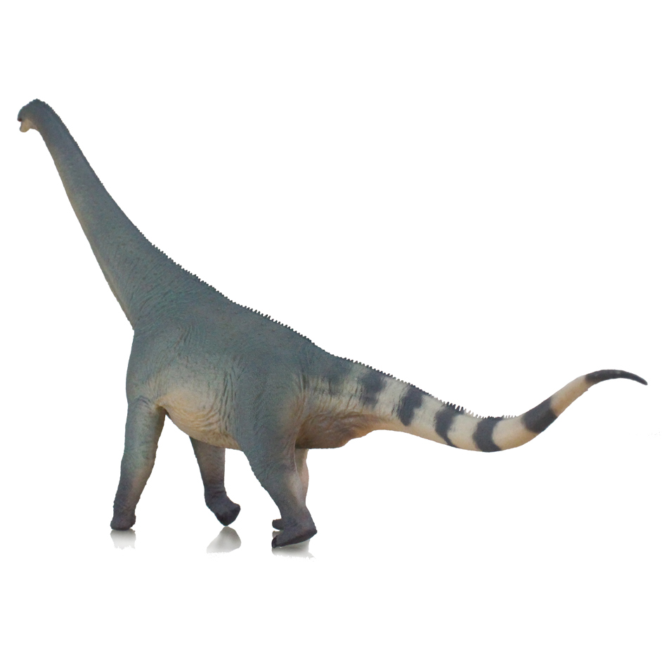 Haolonggood Euhelopus Yang Chun - Everything Dinosaur