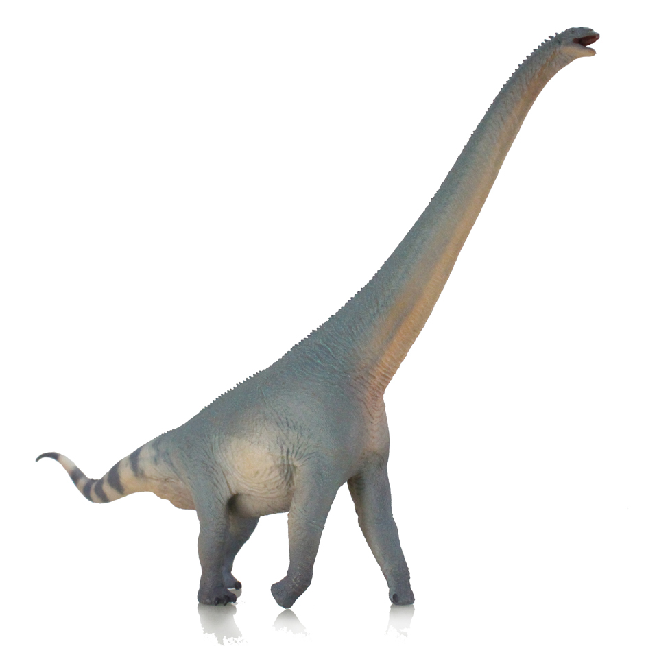 Haolonggood Euhelopus Yang Chun - Everything Dinosaur