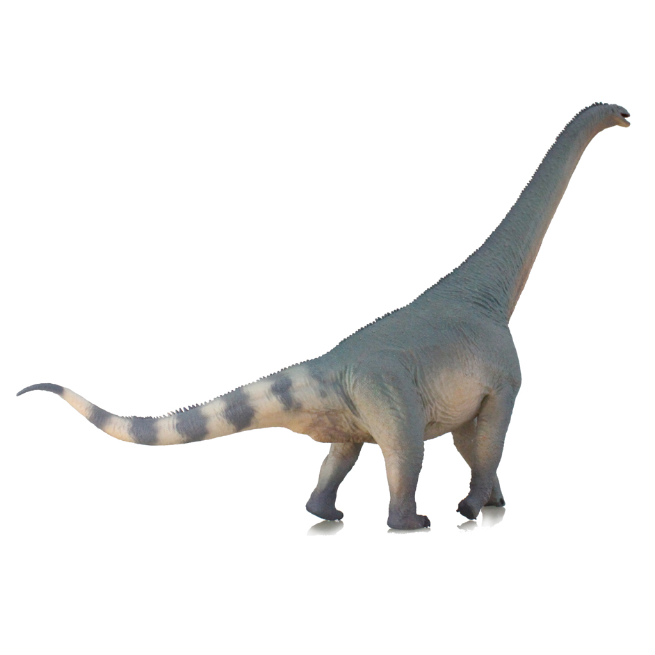 Haolonggood Euhelopus Yang Chun - Everything Dinosaur