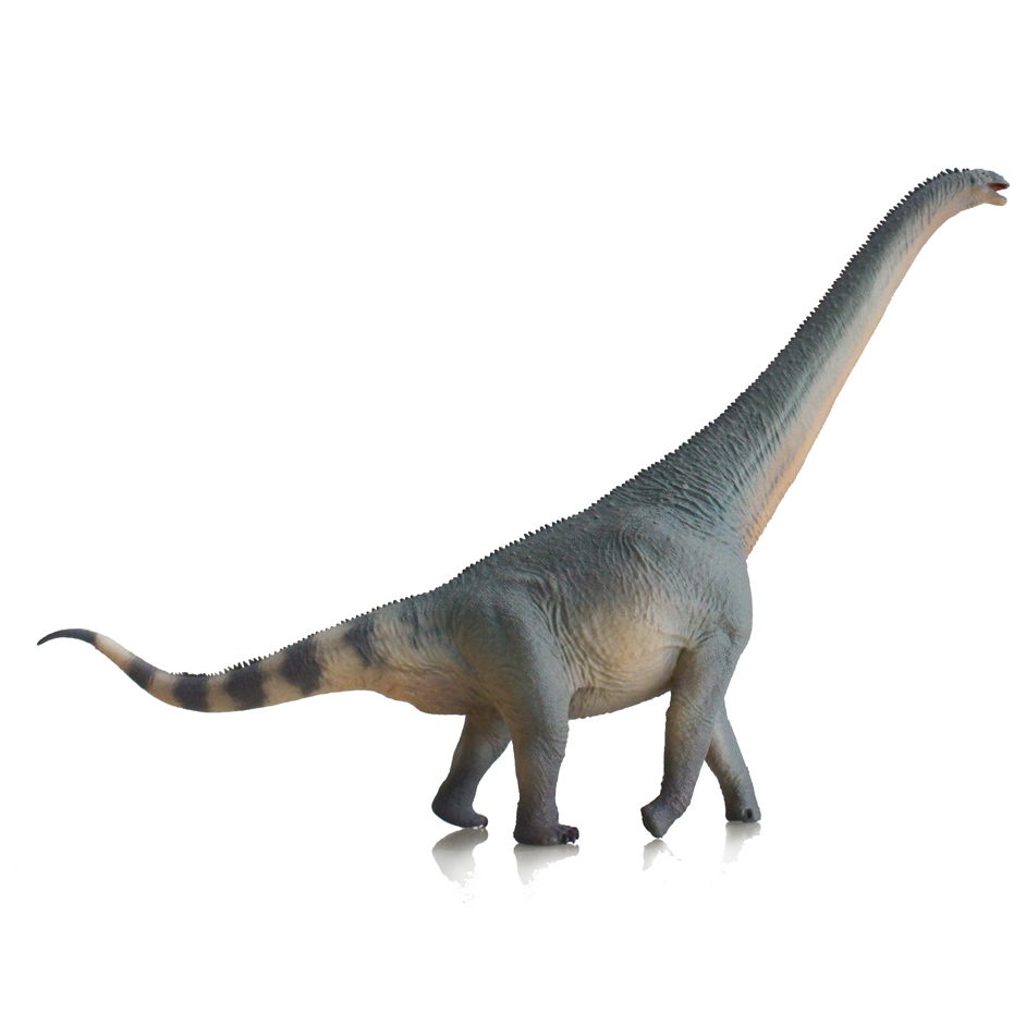 Haolonggood Euhelopus Yang Chun - Everything Dinosaur