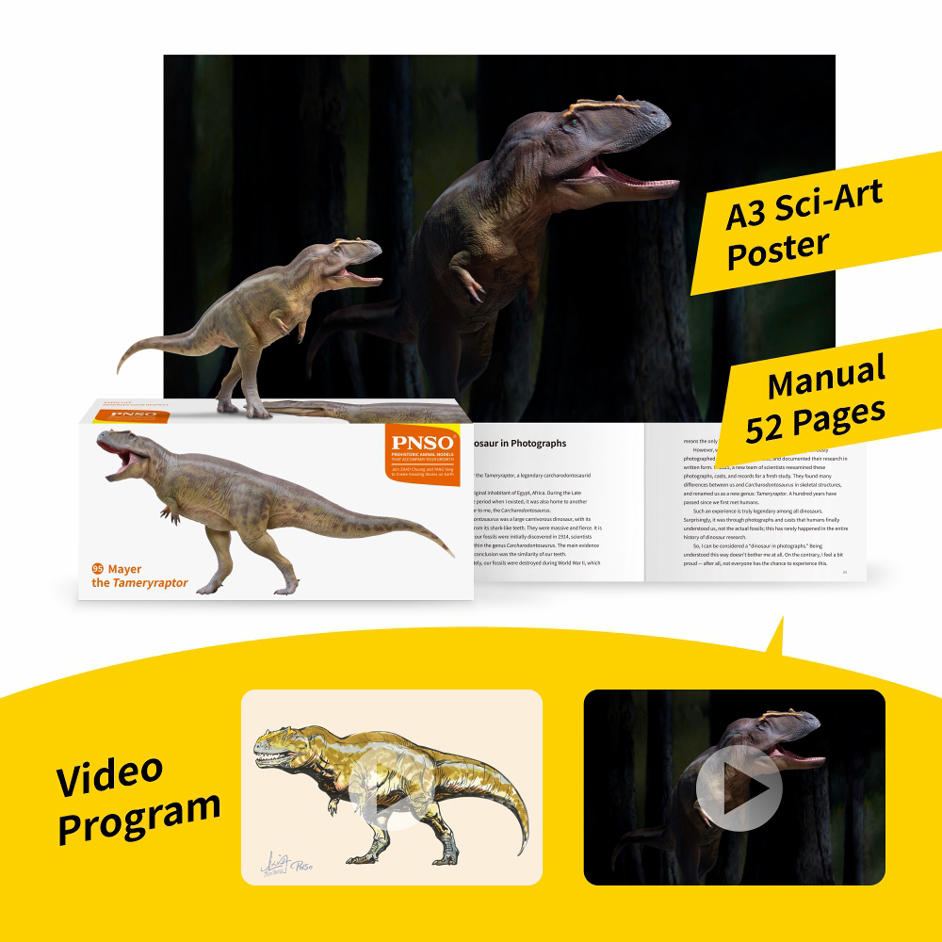 PNSO Mayer the Tameryraptor - Everything Dinosaur