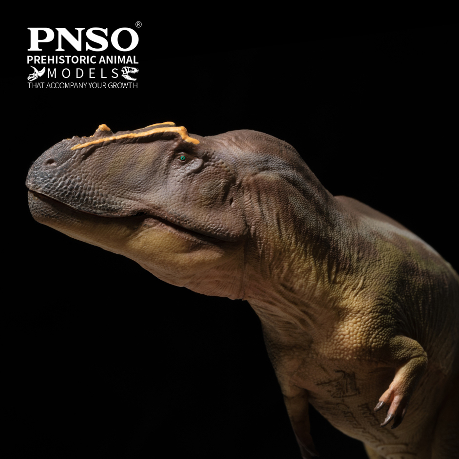PNSO Mayer the Tameryraptor - Everything Dinosaur